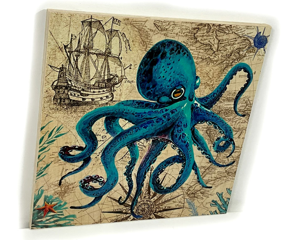 Octopus – ALEX PYRO